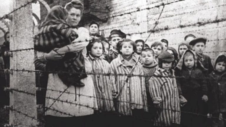 Huérfanos Del Holocausto Las Notables Historias De 300 Niños